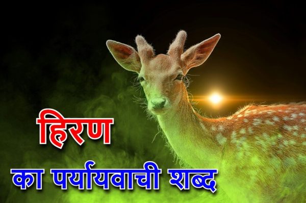 hiran ka paryayvachi shabd - CareerGuide