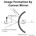 Uses of Convex Mirror: Characteristics, Examples & Meaning - CareerGuide