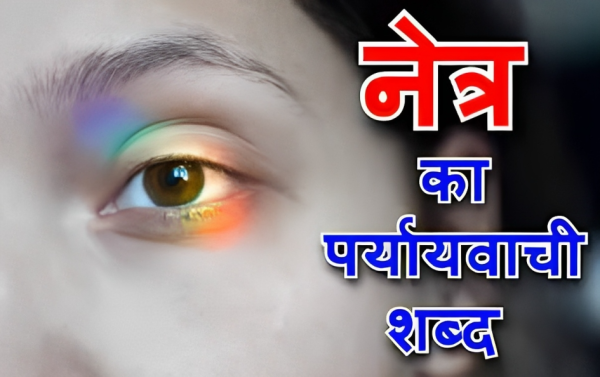 Netra ka paryayvachi shabd - CareerGuide