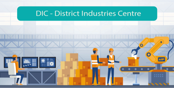 What is DIC full form: Introduction, Roles, Responsibilities, Services ...