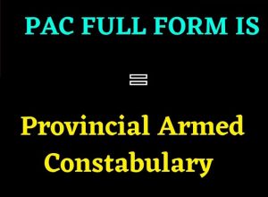What is PAC full form: Introduction, Roles, Responsibilities, Training ...
