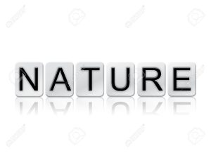 What is nature meaning in hindi - CareerGuide
