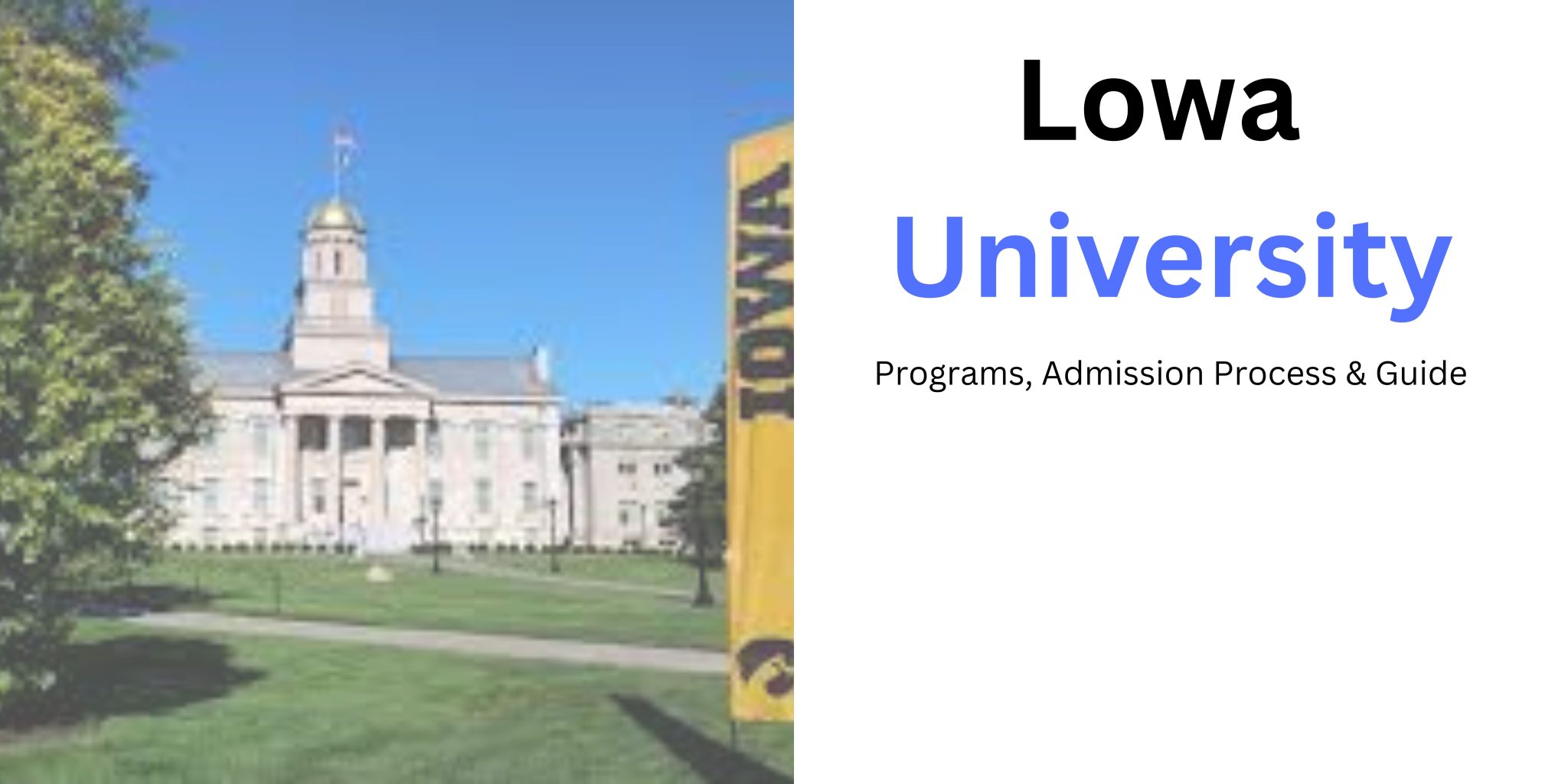 Lowa University: Programs, Admission Process & Guide - CareerGuide