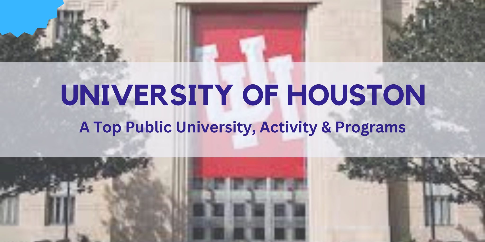 University of Houston: A Top Public University, Activity & Programs ...