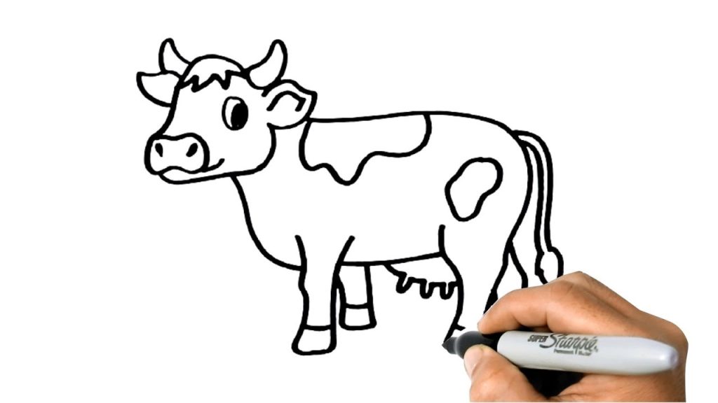 Cow Drawing : Tips for Cow Drawing - CareerGuide