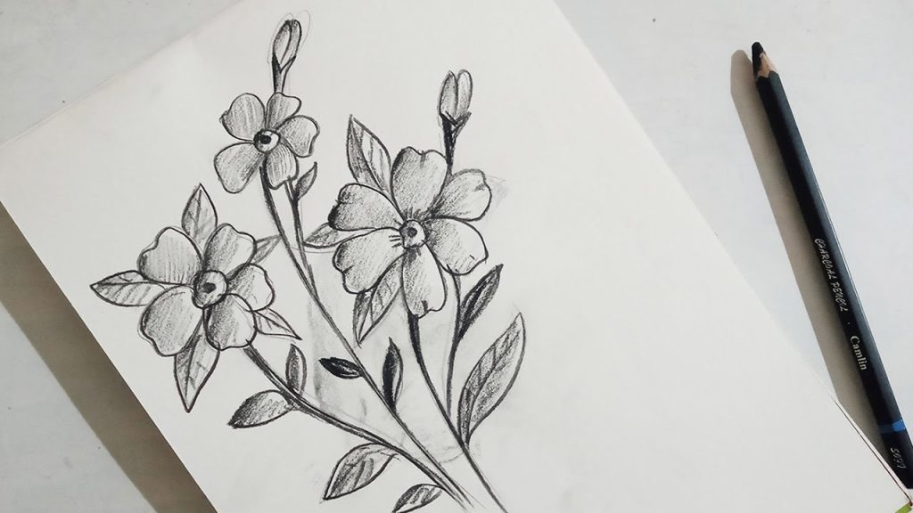 Flower Drawing : A Beginner's Guide to Flower Sketching - CareerGuide
