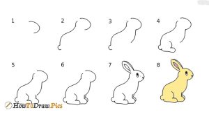 Rabbit Drawing : A Guide to Rabbit Drawing - CareerGuide