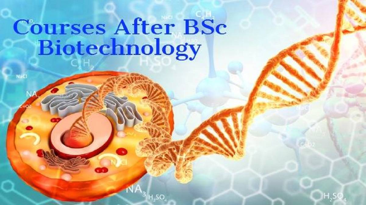 BSC Biotech : Tips , Process , Importance - CareerGuide