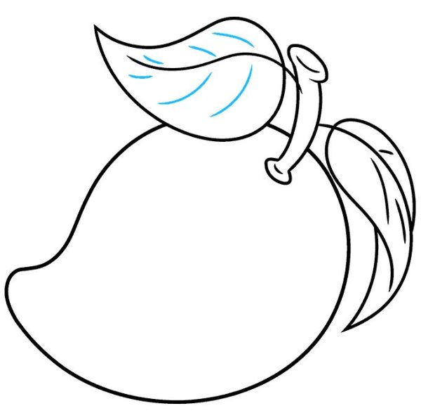 Mango Drawing : How to draw Drawing - CareerGuide