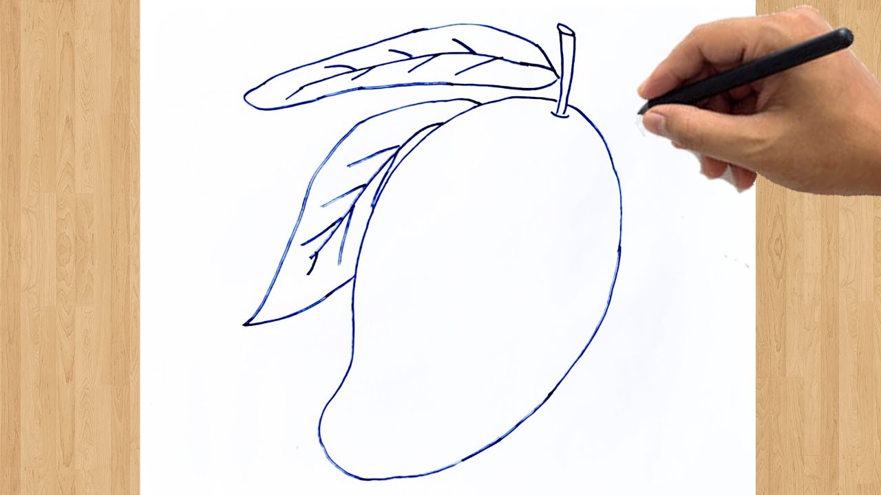 Mango Drawing : How to draw Drawing - CareerGuide
